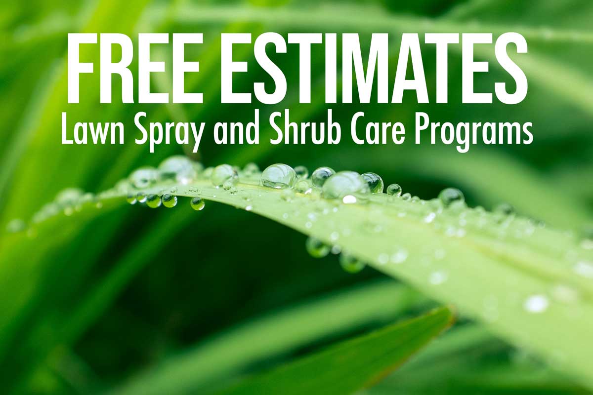 Lawn Spray & Shrub Services | Green Meadow Collierville